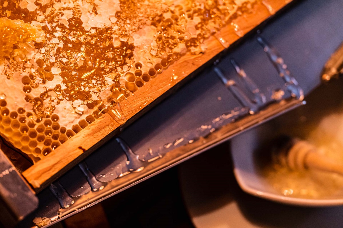 Honig „Die Speise der Götter“ - Bienenvölker BEI SCHUMANN